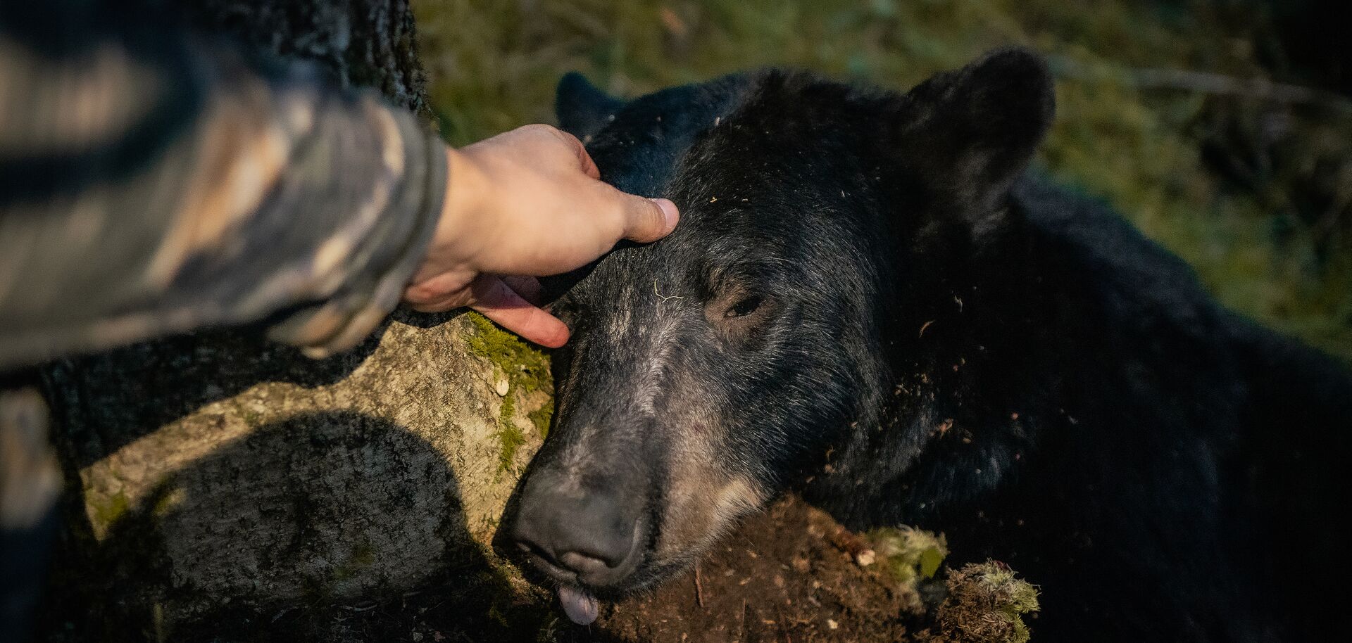 How Much Does a Minnesota Hunting License Cost? | Hunter-ed.com™